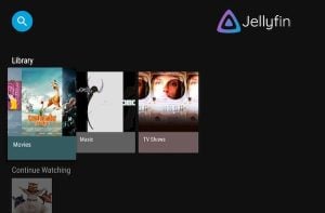 The Ultimate Guide to Choosing and Setting up a Media Server for Your ...